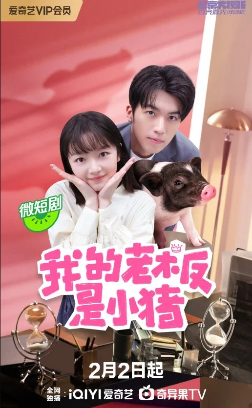 ดูซีรี่ย์ My Piggy Boss (2024) หัวหน้าฉันเป็นหมูน้อย